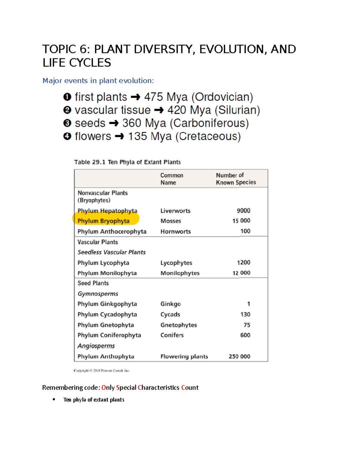 Plant diversity, evolution and life cycles - TOPIC 6: PLANT DIVERSITY ...