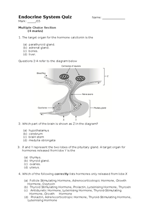 Nervous System - Practice Qus - Nervous System - Practice Examination ...