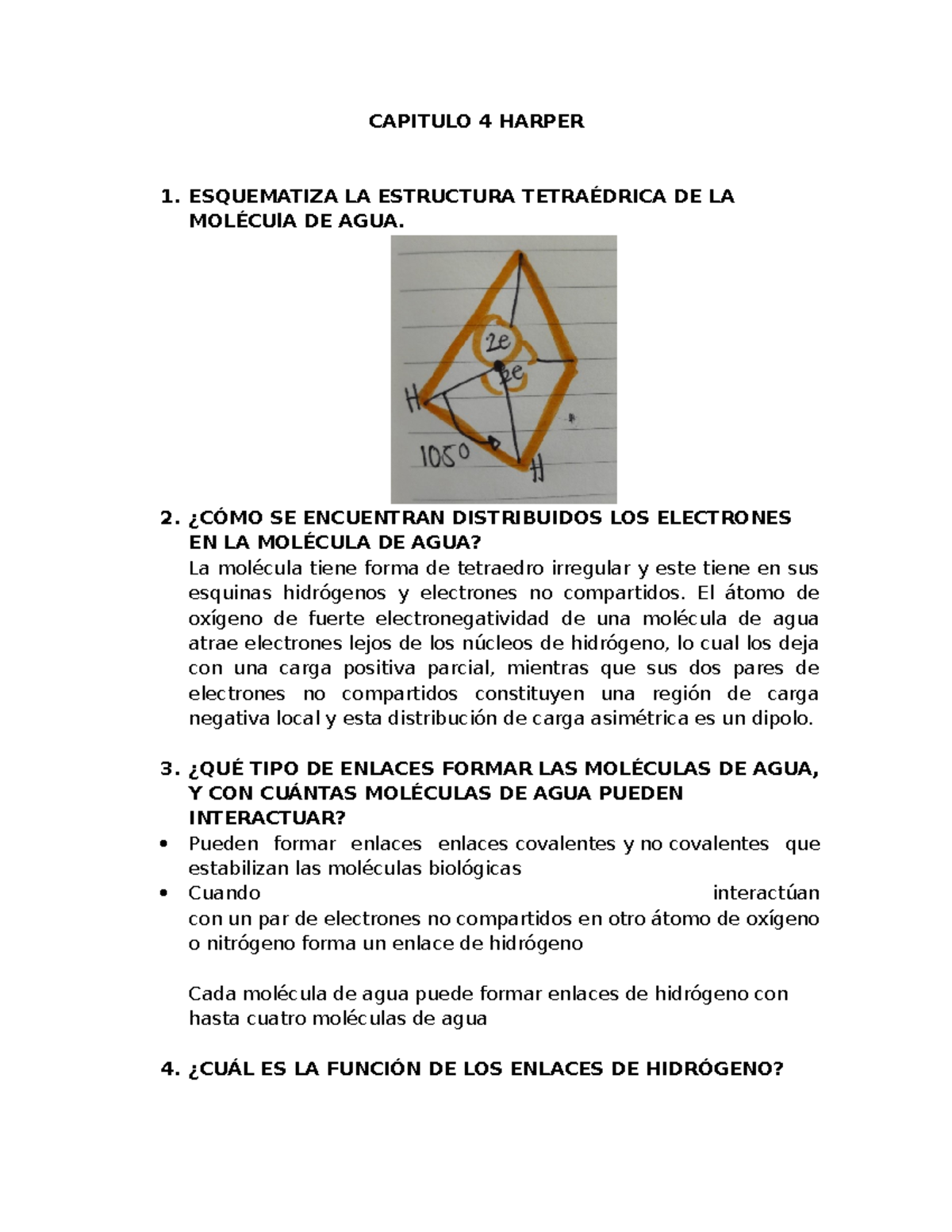 Agua actitividad - preguntas sobre agua - CAPITULO 4 HARPER 1. ESQUEMATIZA LA ESTRUCTURA ...