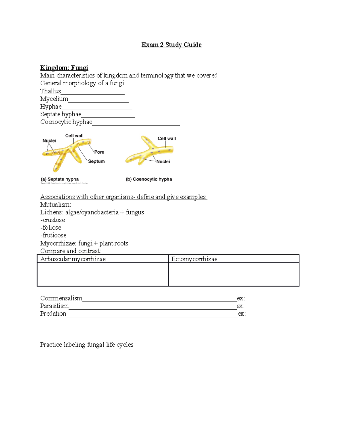 BSC1011 Exam2Studyguide - Exam 2 Study Guide Kingdom: Fungi Main ...