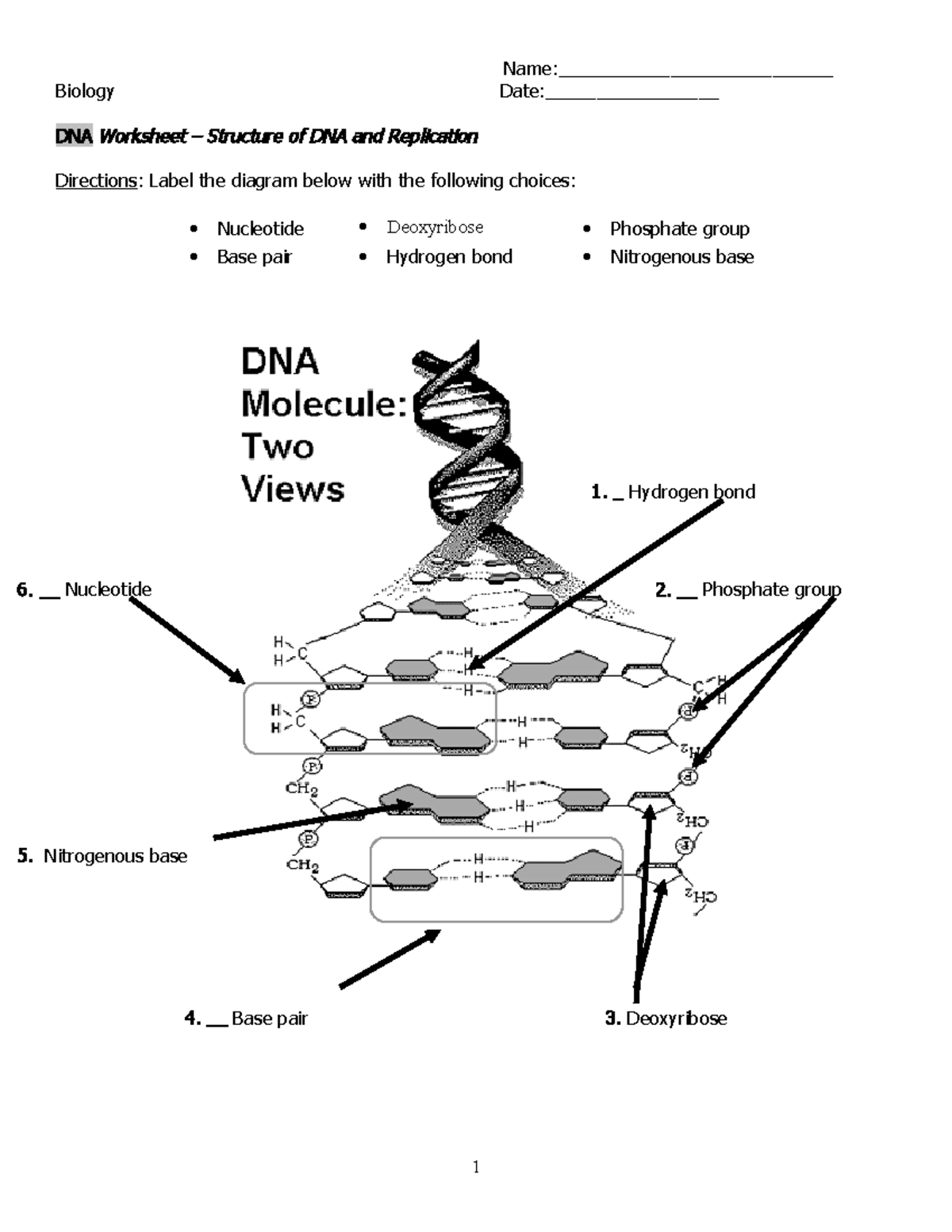 DNA Strucuture and Replication worksheet - Name ...