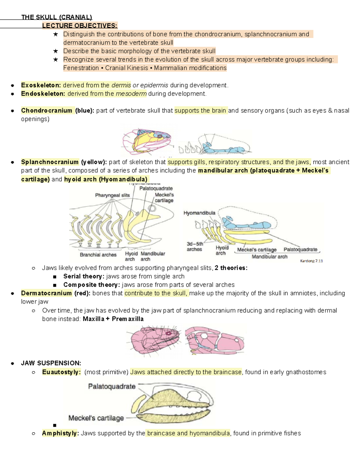 Exam 1 Skeletal System - Review guide/Lecture notes for exam 1 (part 4 ...