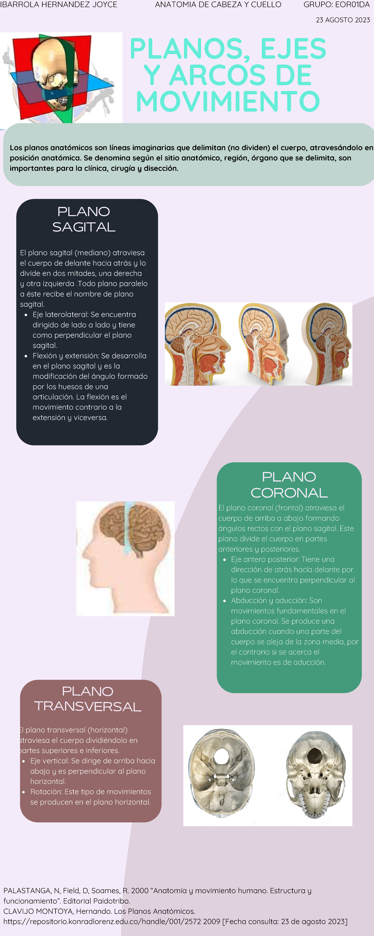 Infografía Planos anatómicos - Eje antero posterior: Tiene una ...
