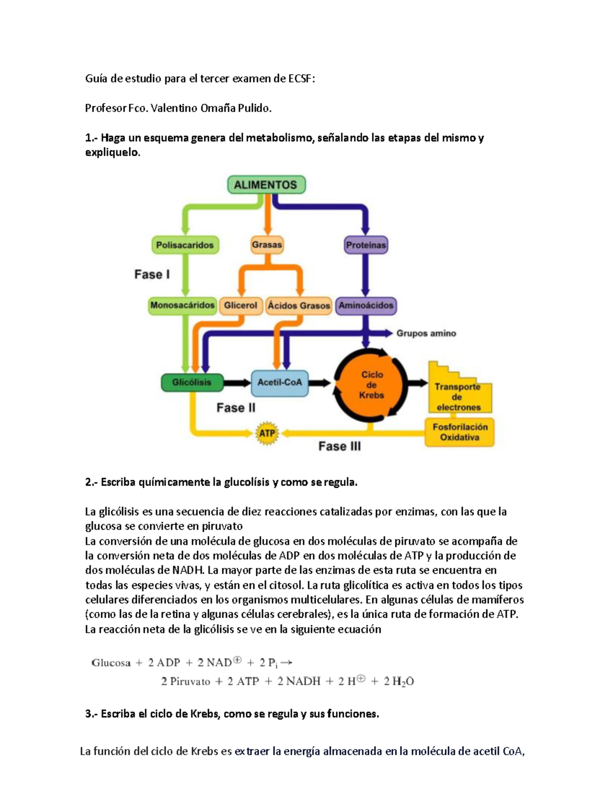 Guía de estudio para el tercer examen de ECSF - Guía de estudio para el ...