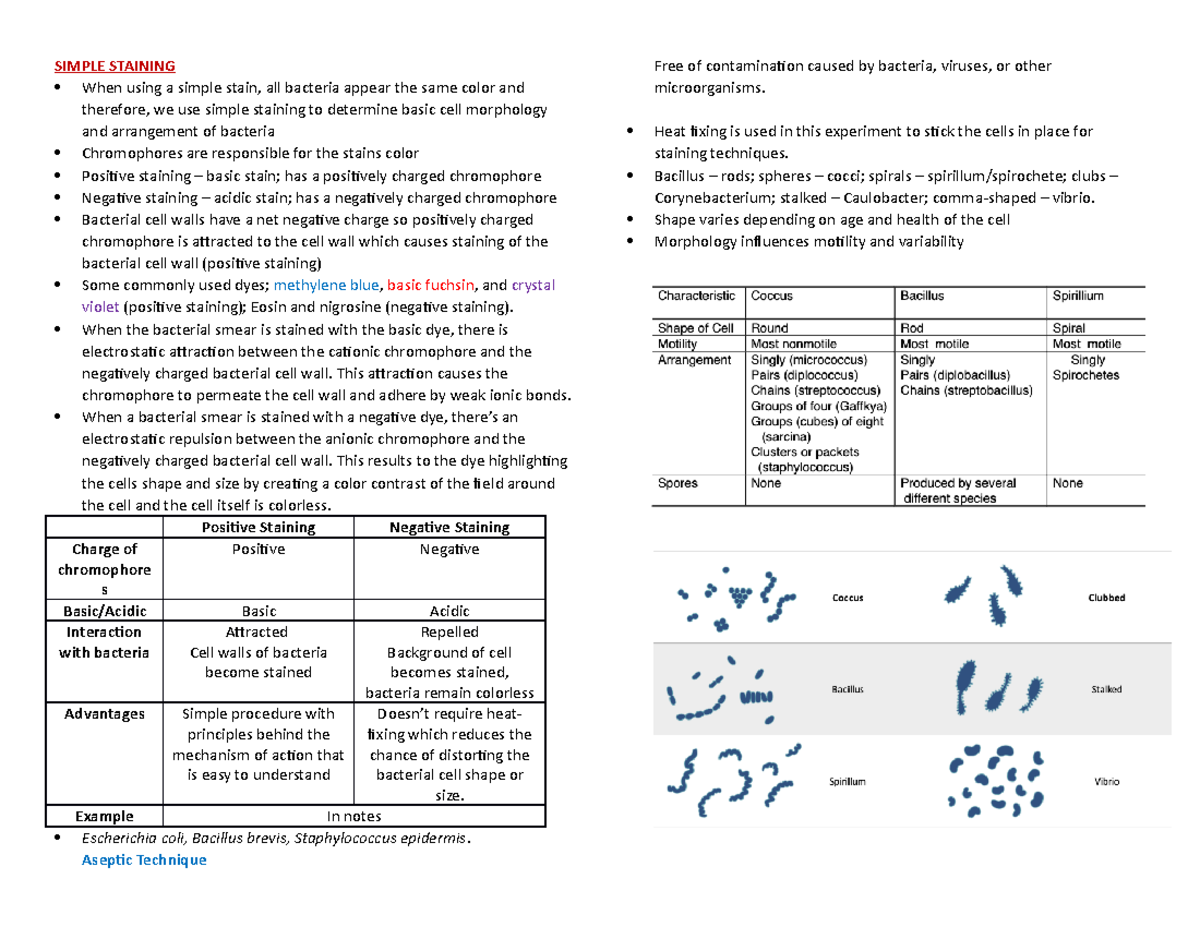 BIOL 240L SUMMARY NOTES - SIMPLE STAINING When using a simple stain ...
