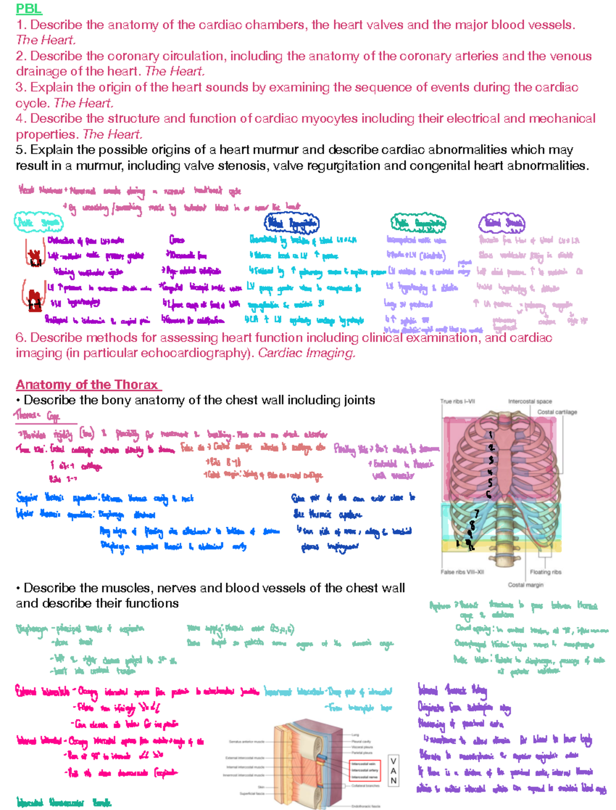 CVR Week 1 - CVR Week 1 - PBL 1. Describe the anatomy of the cardiac ...