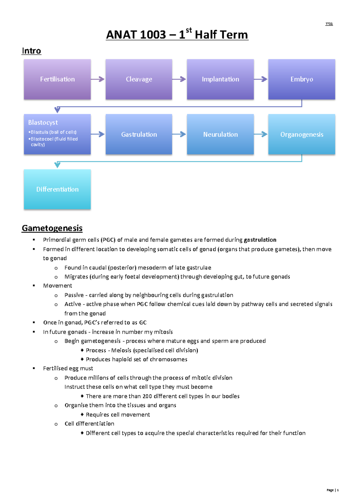 ANAT 1003 - 1 - L2 - Revision Notes - ! ANAT$1003$–$ 1 st $Half$Term ...