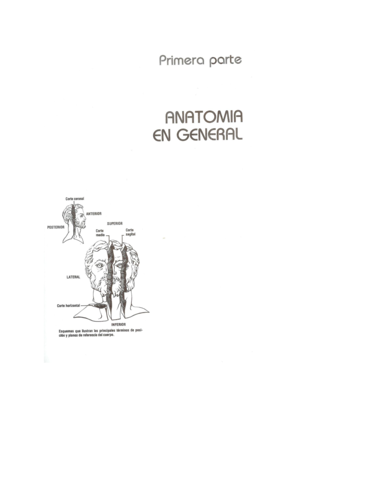 Garner 1a - Primer parte resumen miembro superior - Anatomia de Gardner - Anatomía Macroscópica ...