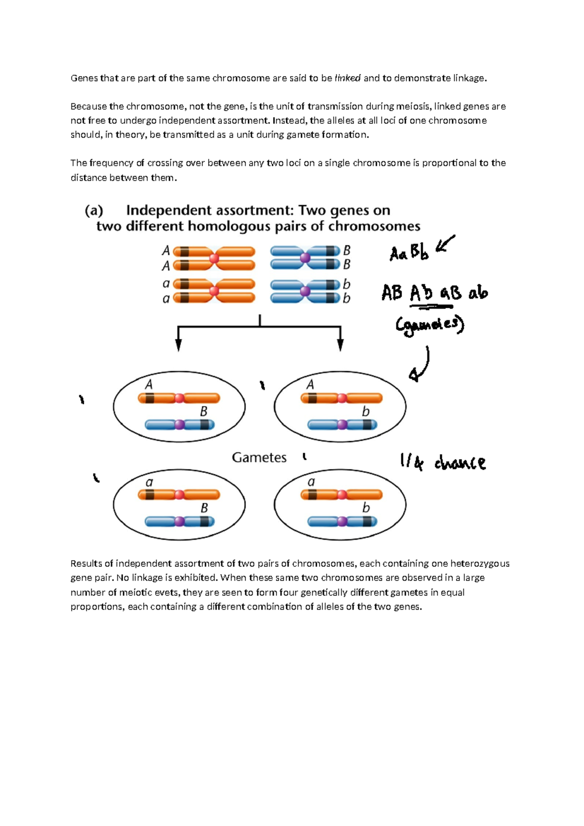 Chromosome mapping - Genes that are part of the same chromosome are ...