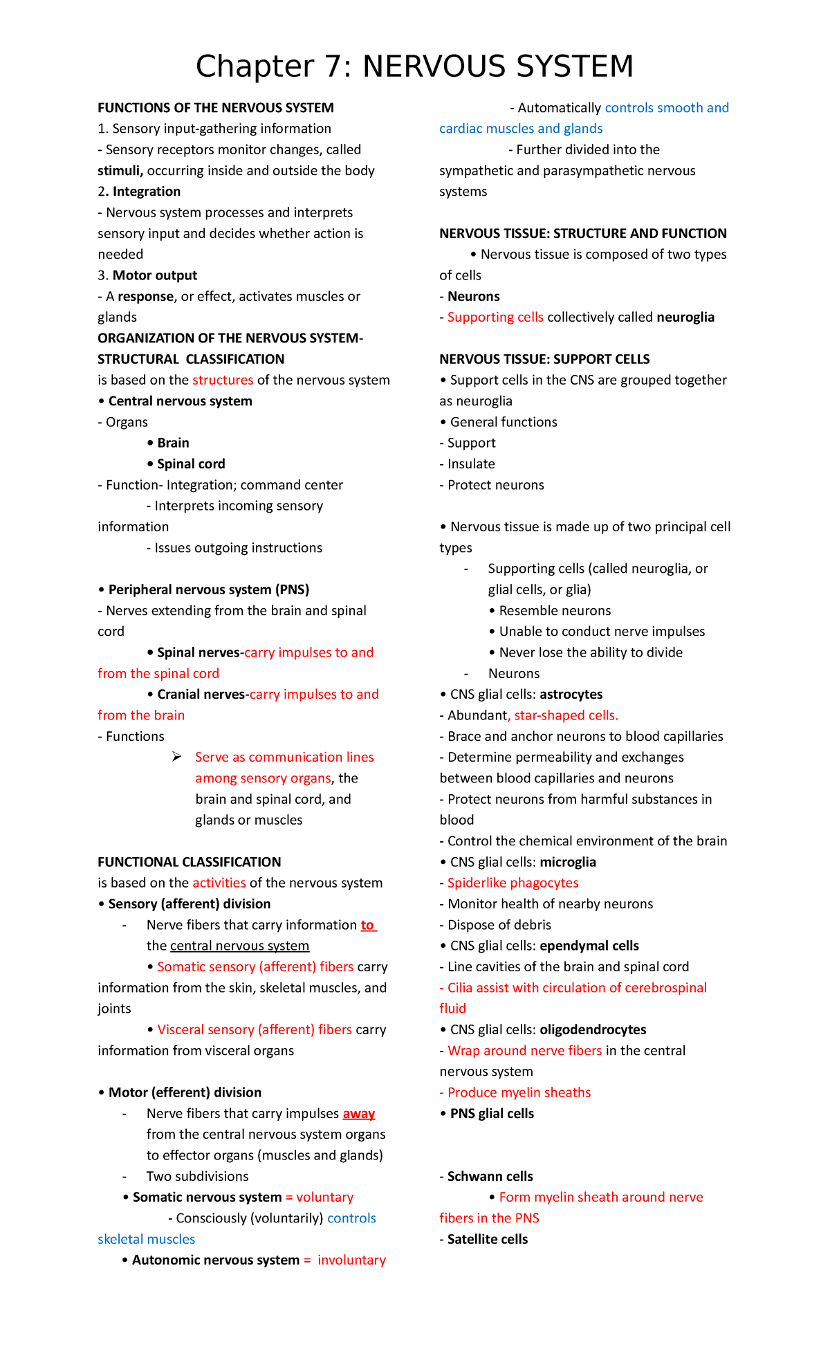 Chapter-7-Anaphy Nervous system - Chapter 7: NERVOUS SYSTEM FUNCTIONS ...