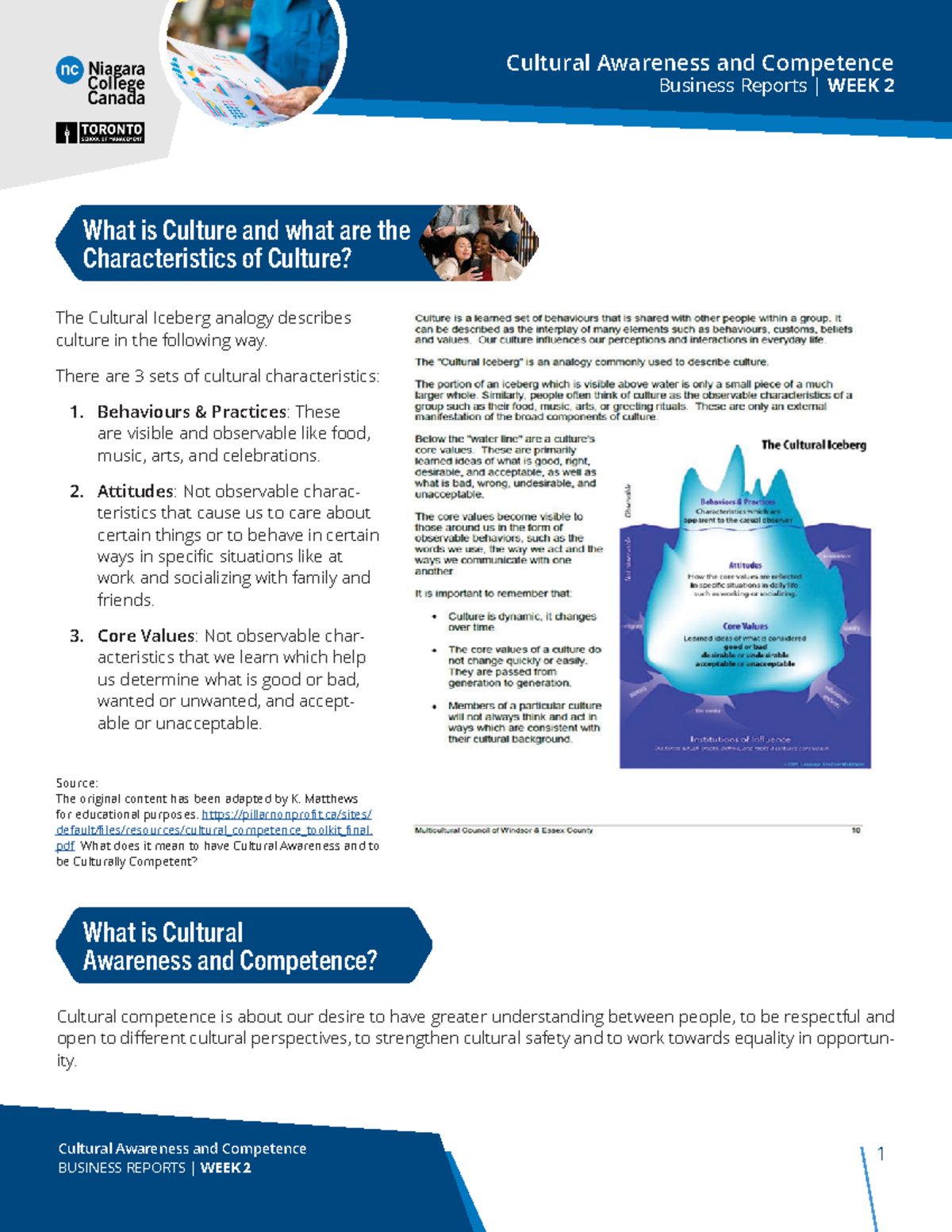 Week 2 - Cultural Awareness and Competence - Business Reports | WEEK 2 ...