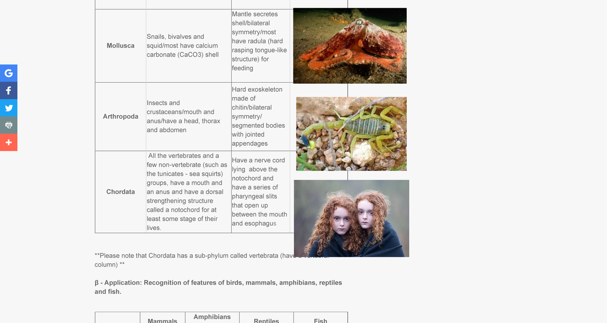 Topic 5 Review Notes IB Biology Evolution Biodiversity - Mollusca ...