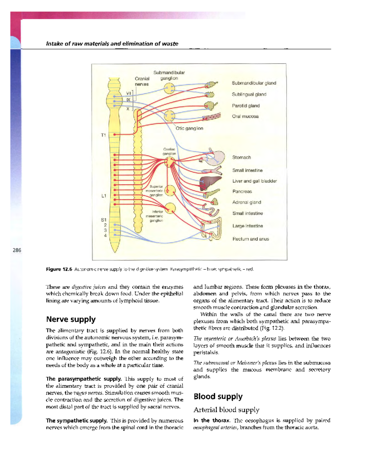Human-Anatomy and Physiology 96 - Intake of raw materials and ...