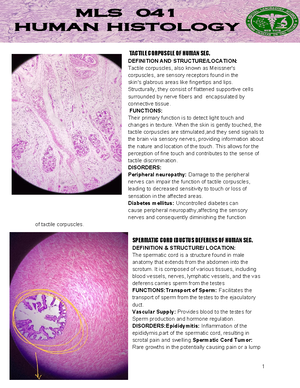 Histology Final Reviewer - CELLS Light and Transmission Electron ...
