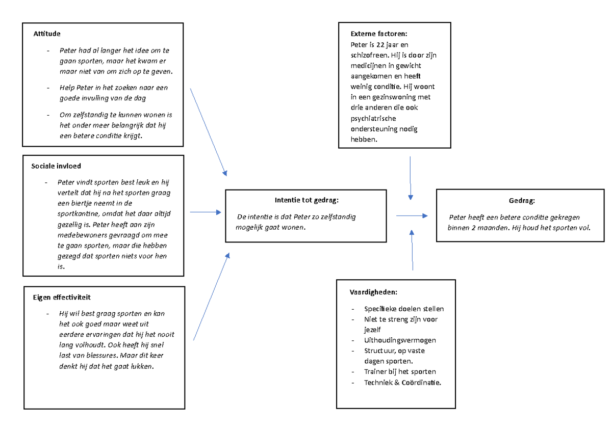 Inzendopgave 252R2 - Externe factoren: Peter is 22 jaar en schizofreen ...