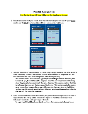 Minawi BIO1A03 Post-lab 3 Assignment - Bio 1A03 - McMaster - Studocu