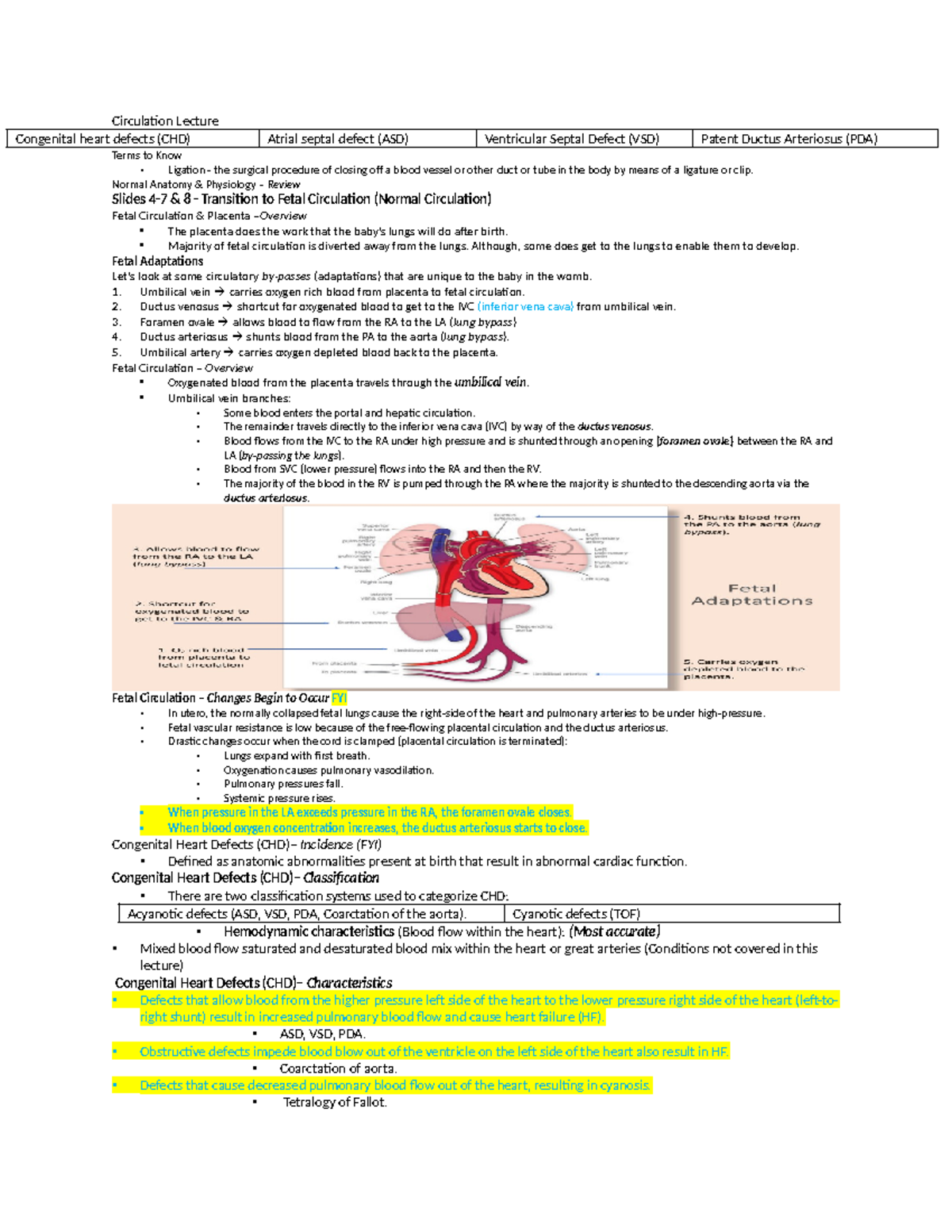Circ - Notes - Circulation Lecture Congenital heart defects (CHD ...