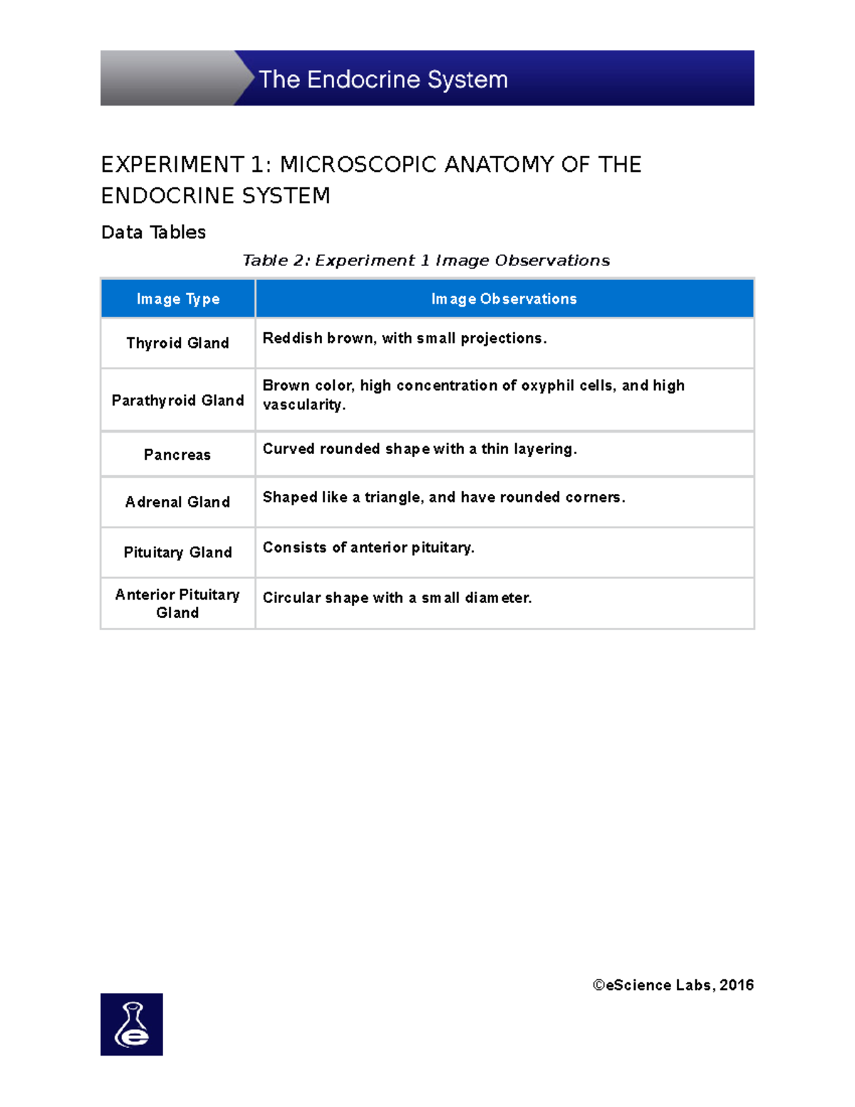 Lab1-Endrocrine-Sp20 - EXPERIMENT 1: MICROSCOPIC ANATOMY OF THE ...