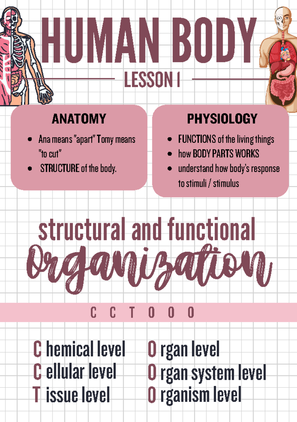 Anaphy- Lesson-1- Human BODY - HUMAN BODY LESSON 1 ANATOMY Ana means ...