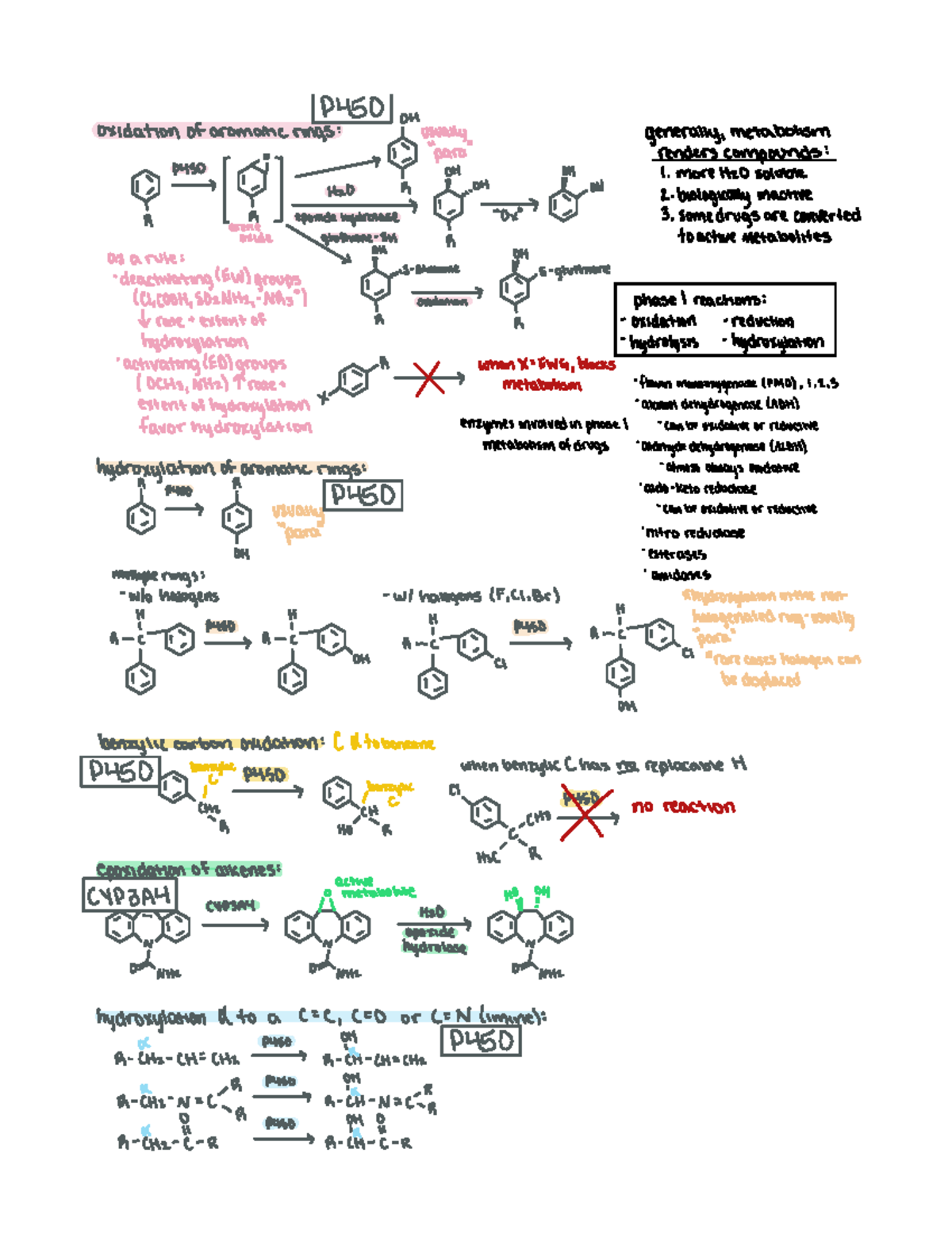 Metabolism Notes - PDA 1 - oxidationof aromatic rings O ...