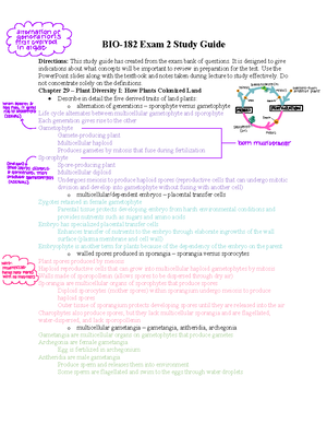 BIO-182-RS-Study Guide 4 - BIO-182 Exam 4 Study Guide Directions: This ...