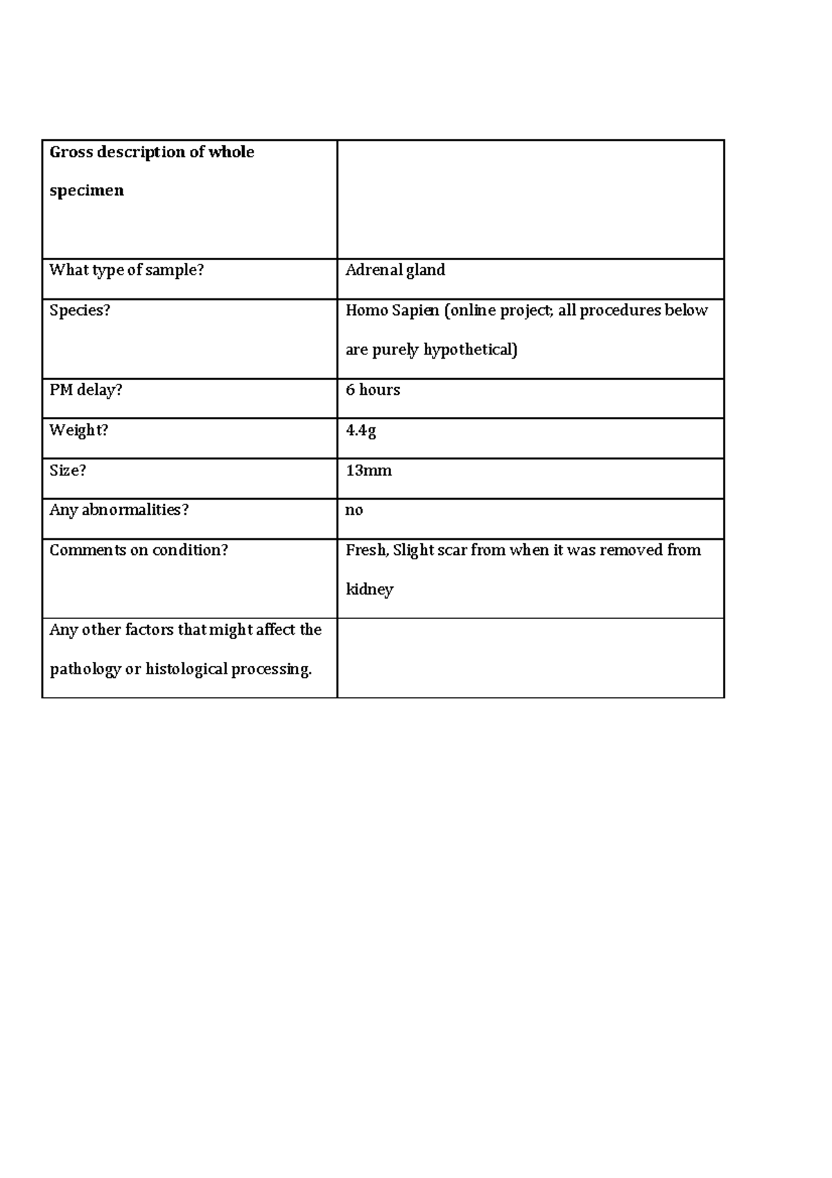 Histology Project worksheet (1) group share - Gross description of ...