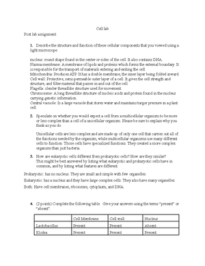 Chemistry 1210 Experiment 4 Conservation of Mass, Pre-lab - CHEM 1215 ...