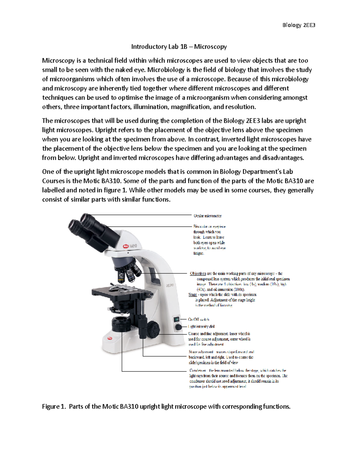 Introductory Lab 1B - Microscopy Manual W23 - Introductory Lab 1B ...