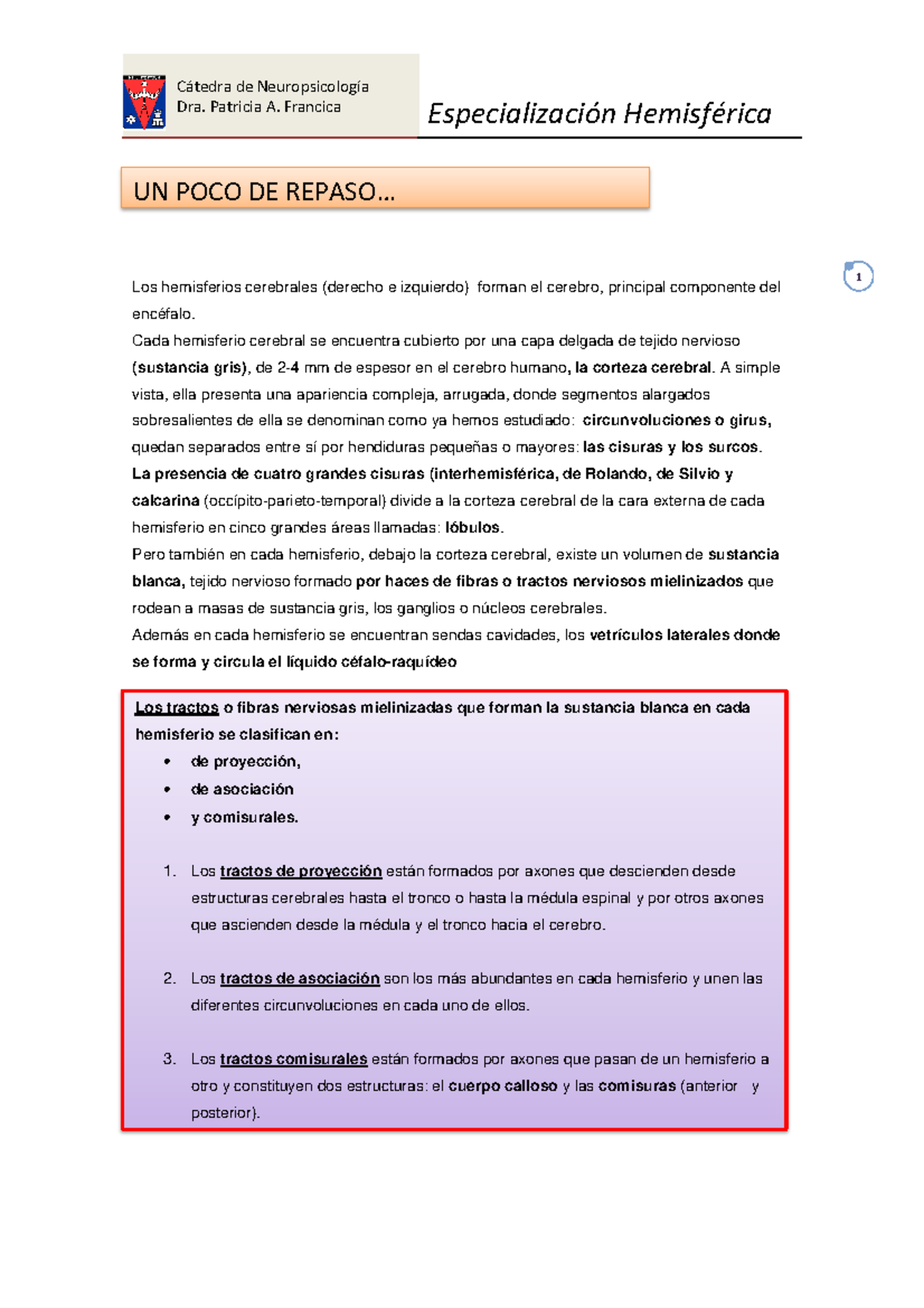 Los hemisferios cerebrales - Cátedra de Neuropsicología Dra. Patricia A ...