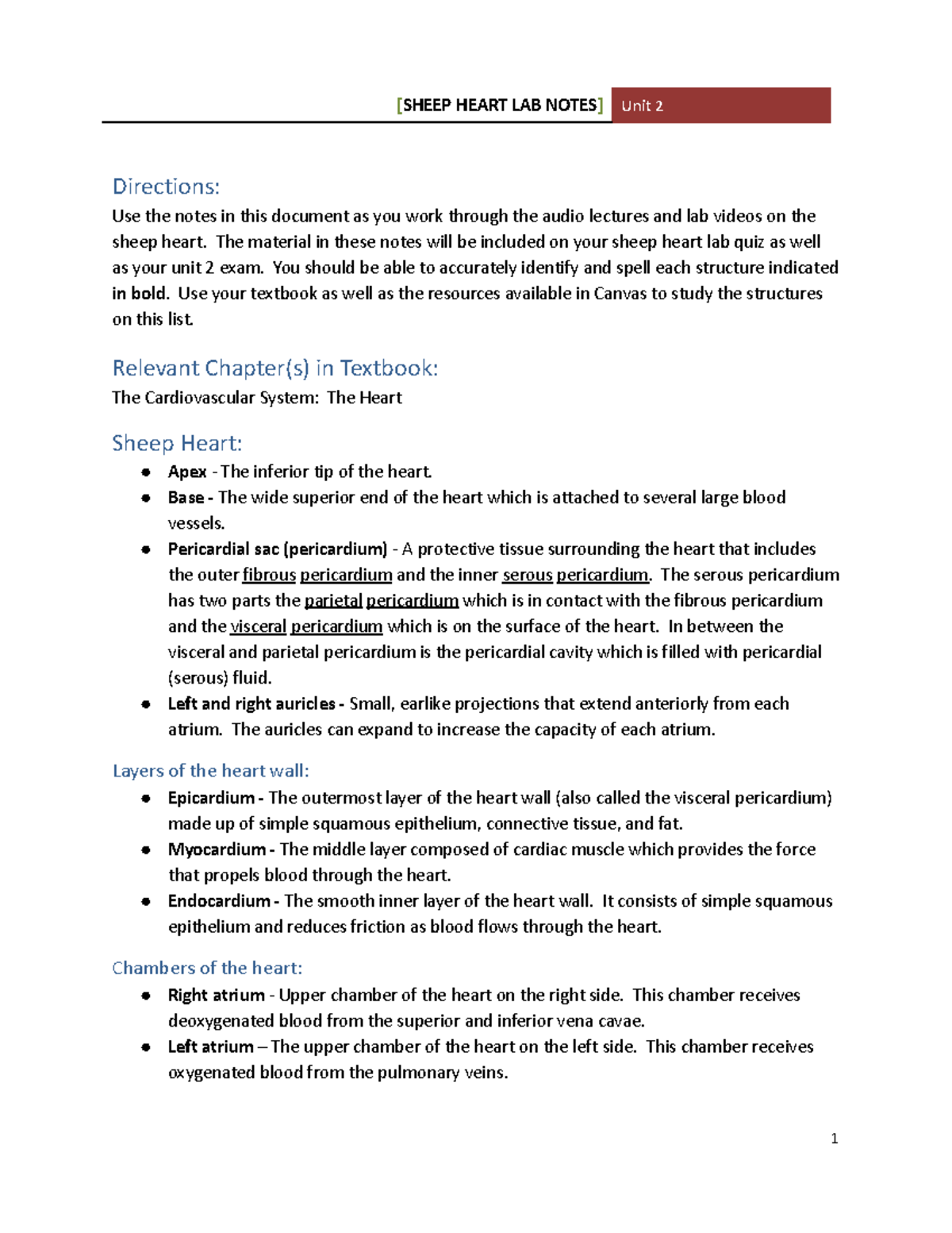 Sheep Heart Lab Notes - Dr. Benjamin Pundit - [SHEEP HEART LAB NOTES ...