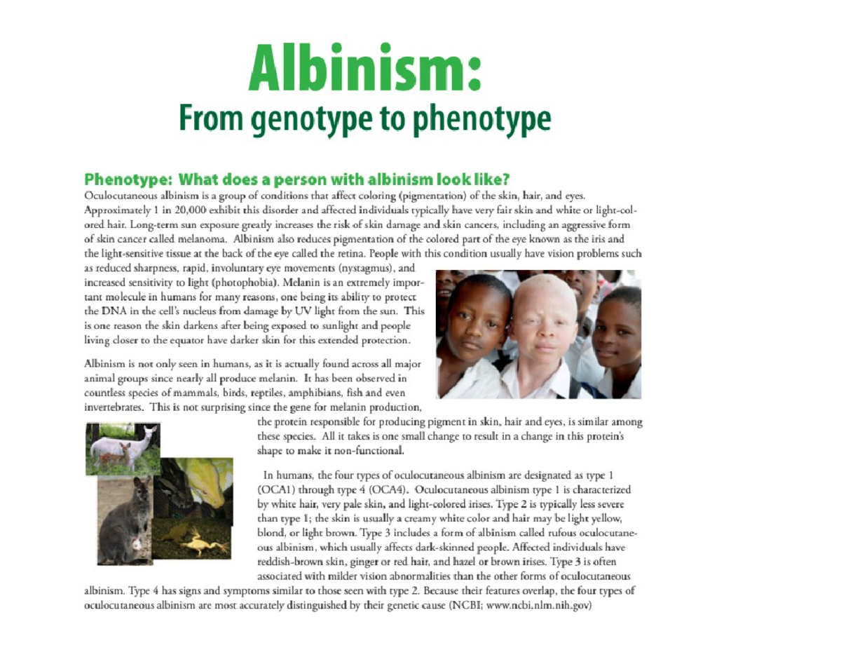 Hernandez] 11D Part 2 Albinism Lab - Mutation 3 missence One change 4 ...