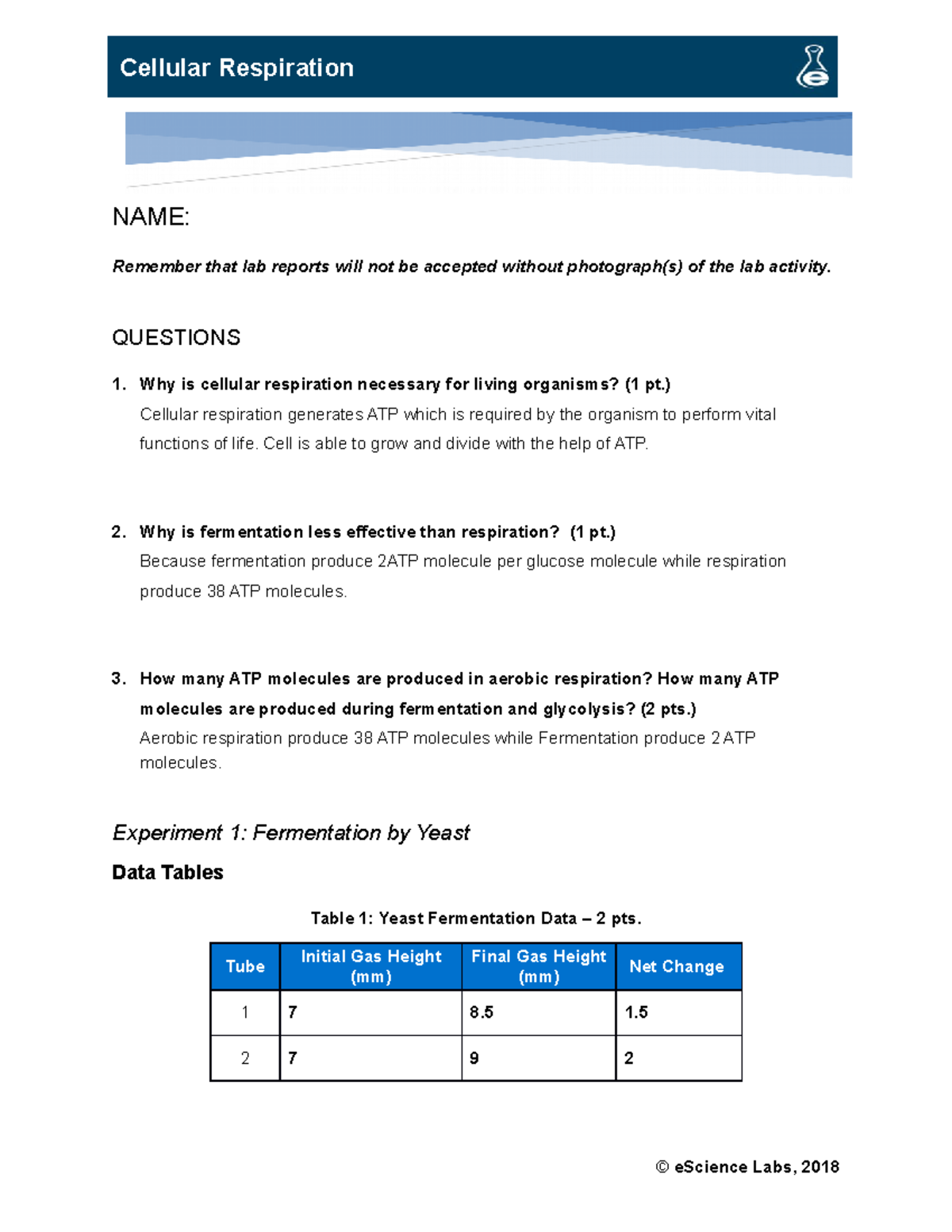Lab 6 Cellular Respiration updated-2 - NAME: Remember that lab reports ...