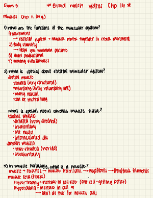Chapter 19 Digestive System - Chapter 19 Digestive System Functions Taking nutrients from food ...