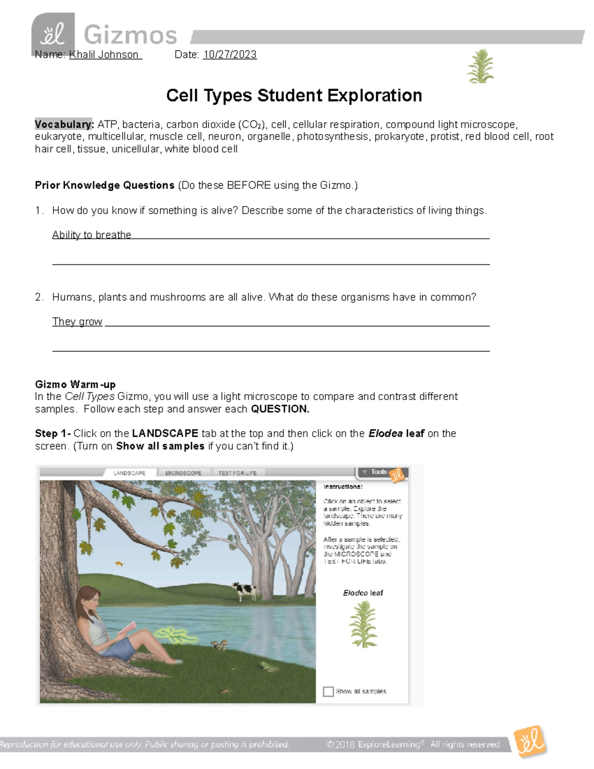 Cell Types SE 2023 - They relate because they each have cells that ...