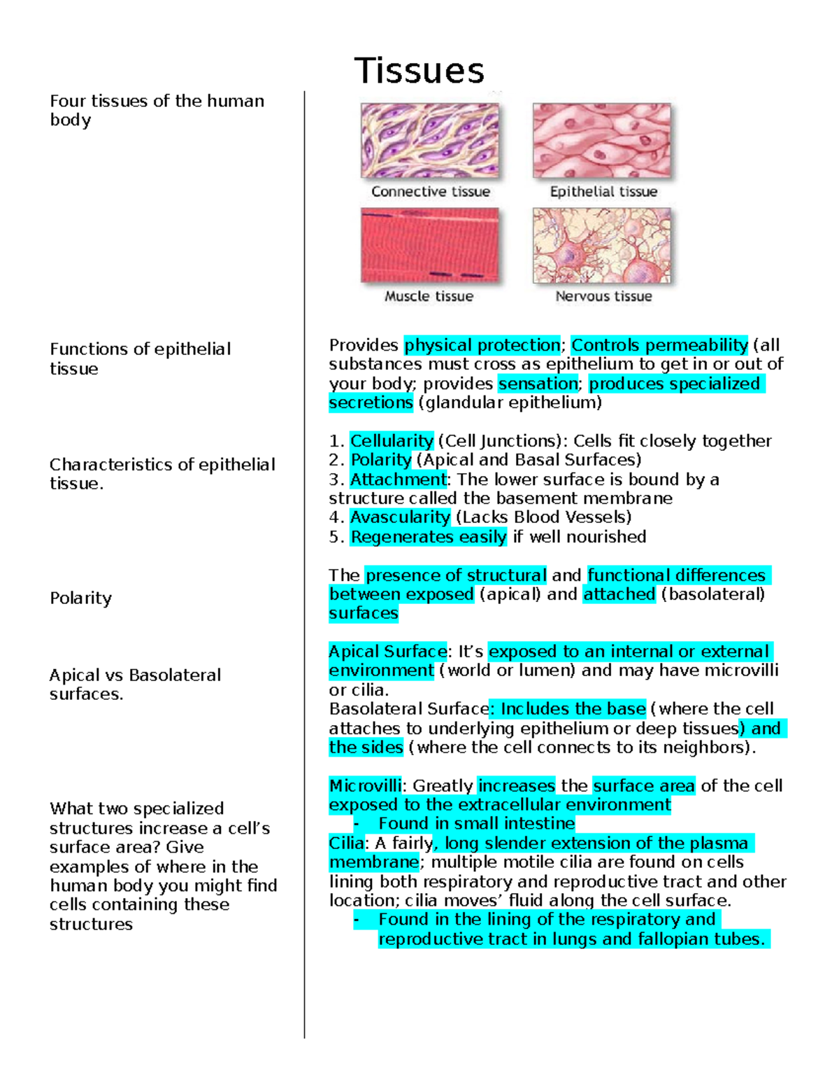 Module 4 Review Guide - Tissues Four tissues of the human body ...