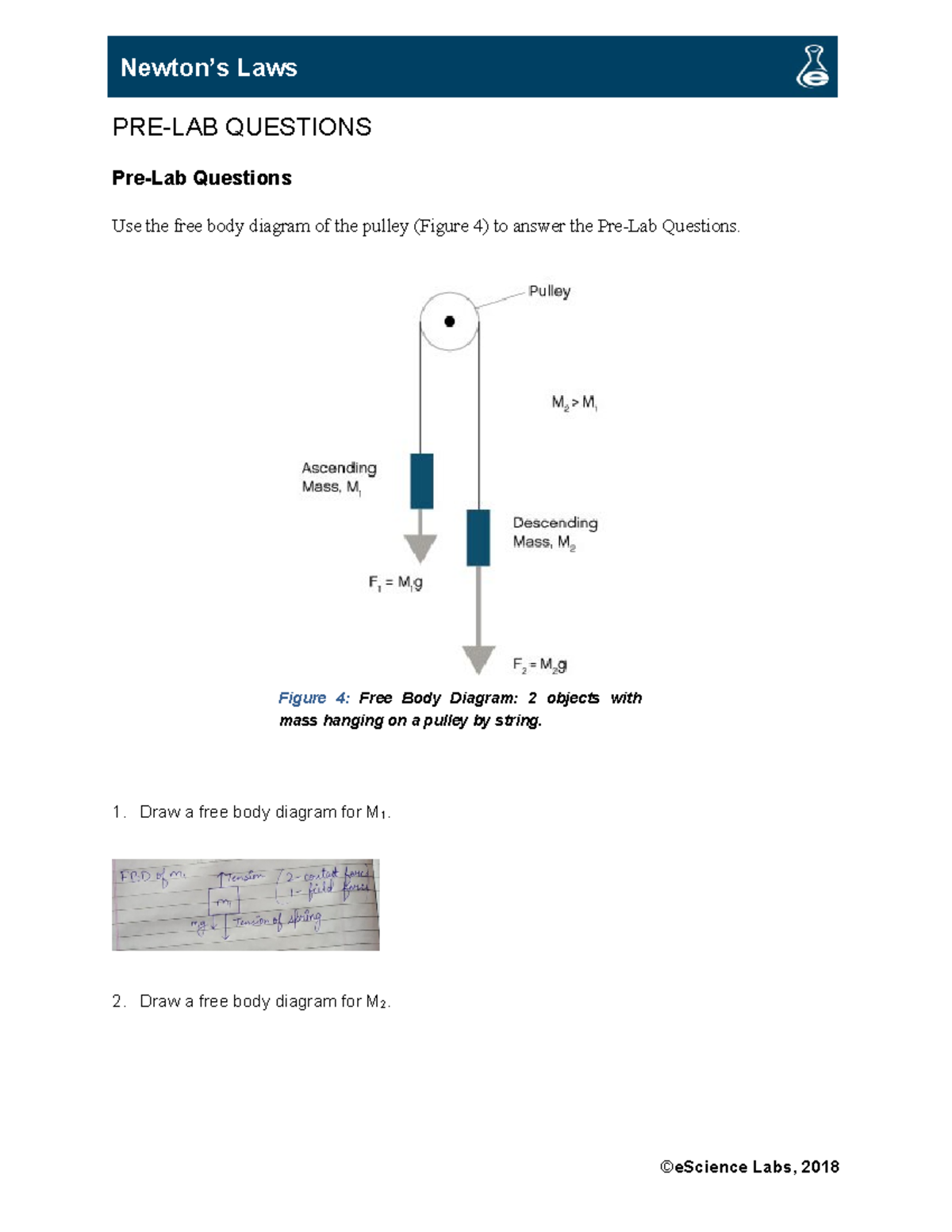 IP 2020 L06 Newtons Laws - PRE-LAB QUESTIONS Pre-Lab Questions Use the ...