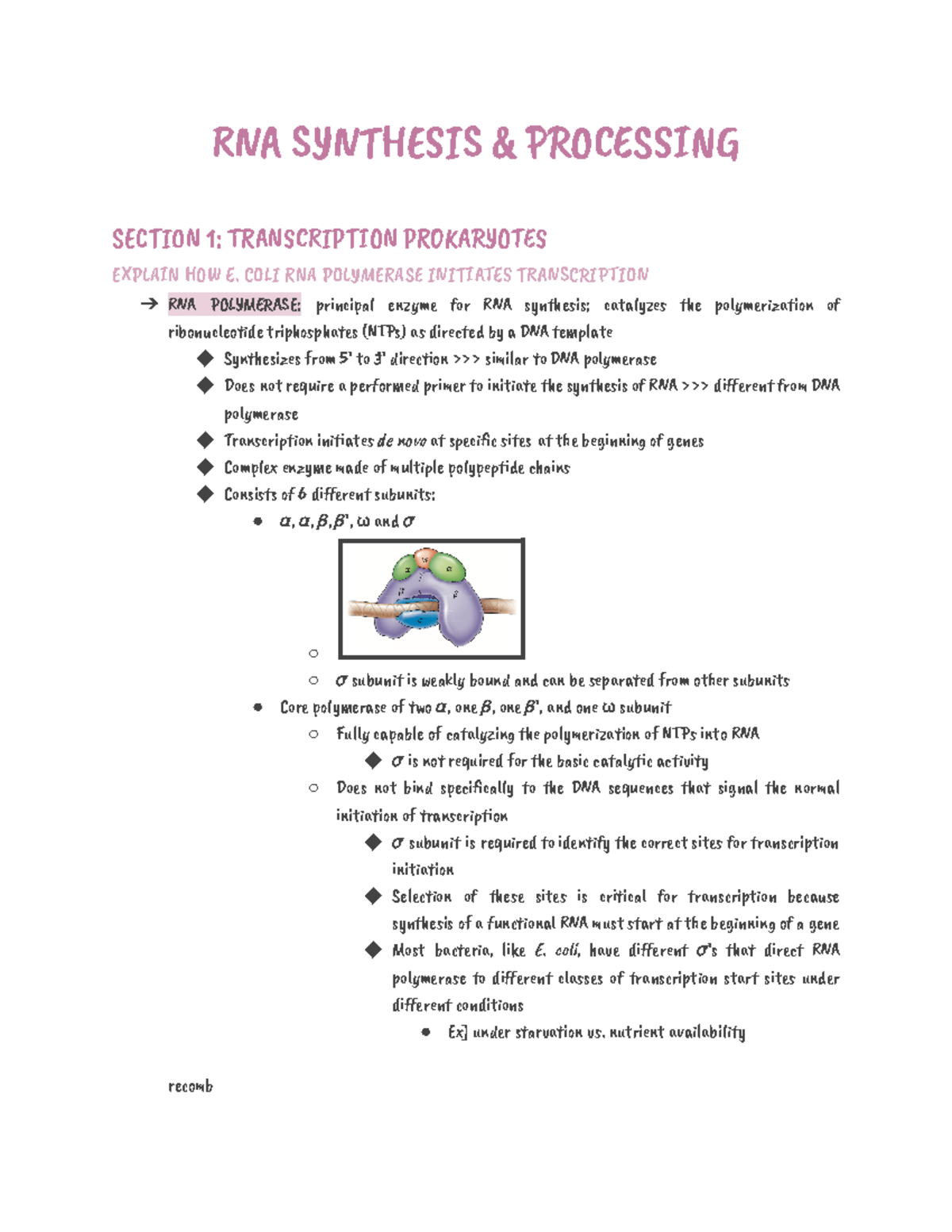 Chapter 8 - RNA Synthesis and Processing - RĆA èYĆâHEéĂè & PíOåâSéāąG ...