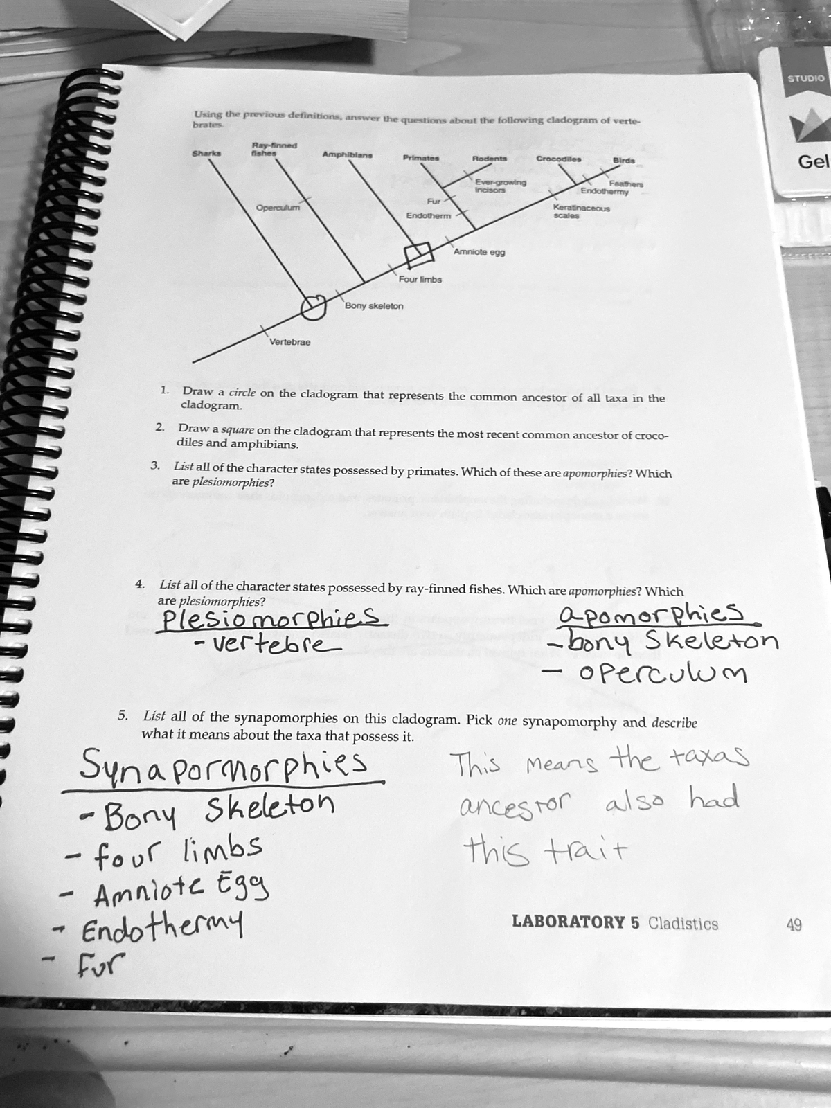 Lab 5 Cladogram And Parsimony Analysis - BIOL 1407 - Studocu