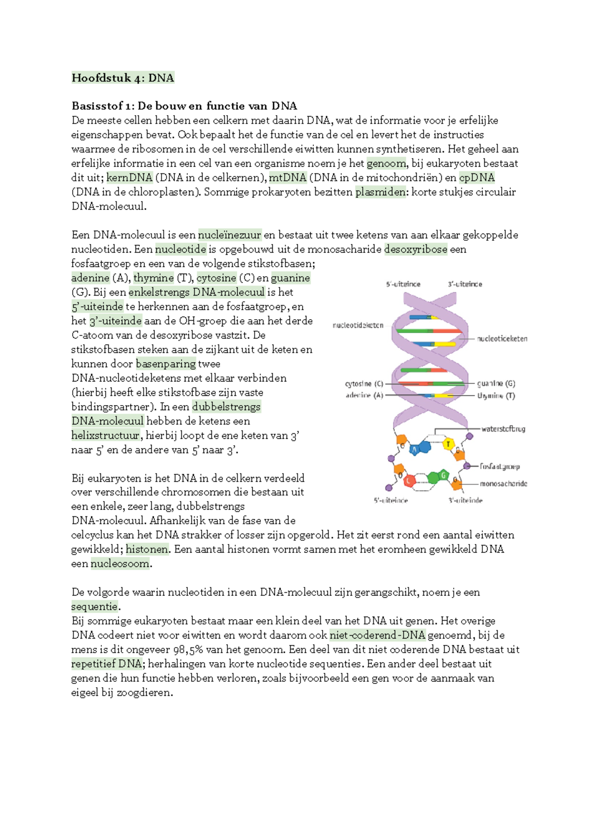 Biologie H4 DNA VWO 5 bvj - Hoofdstuk 4: DNA Basisstof 1: De bouw en ...