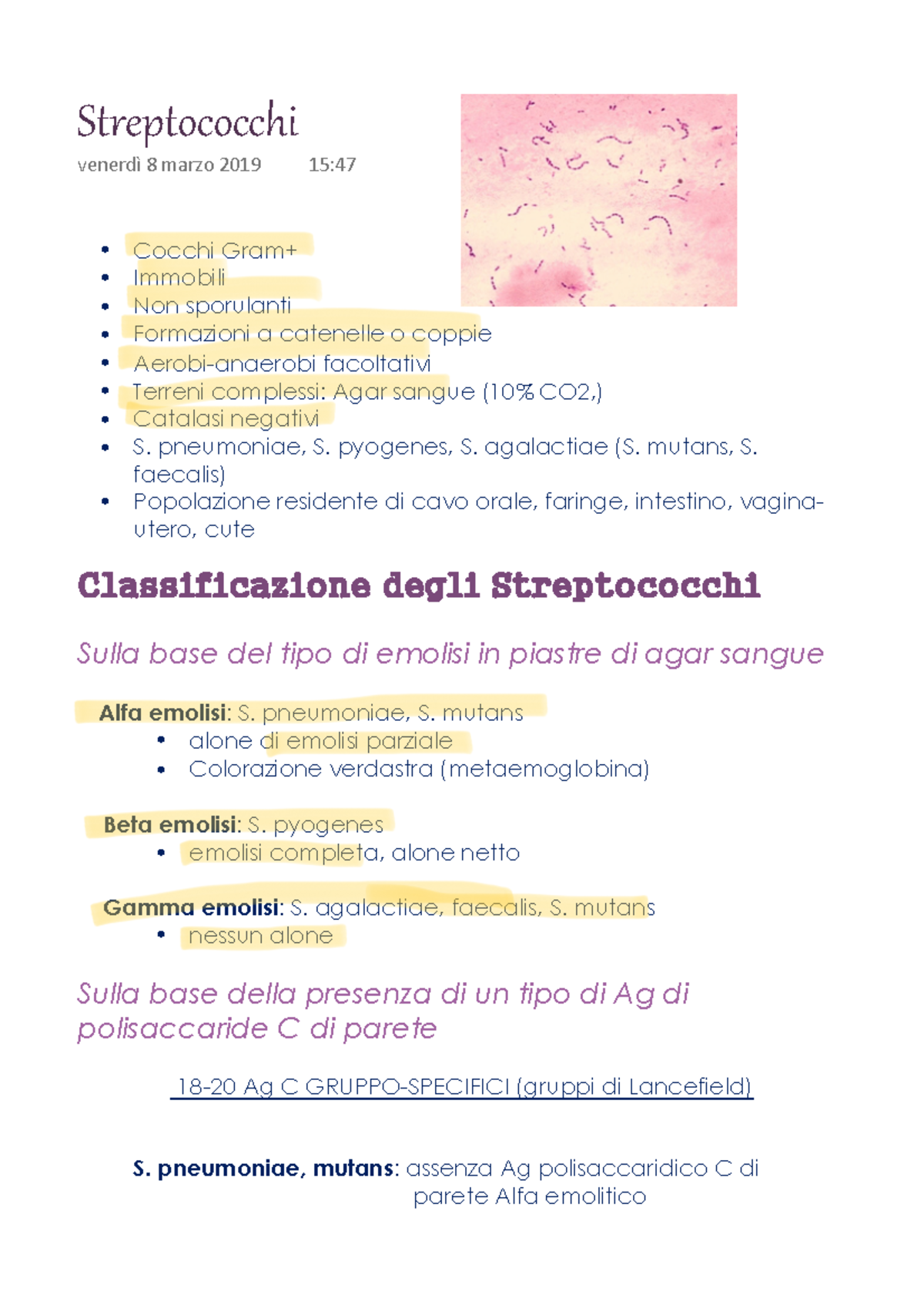 6. Streptococchi - schemi - Cocchi Gram+ Immobili Non sporulanti ...