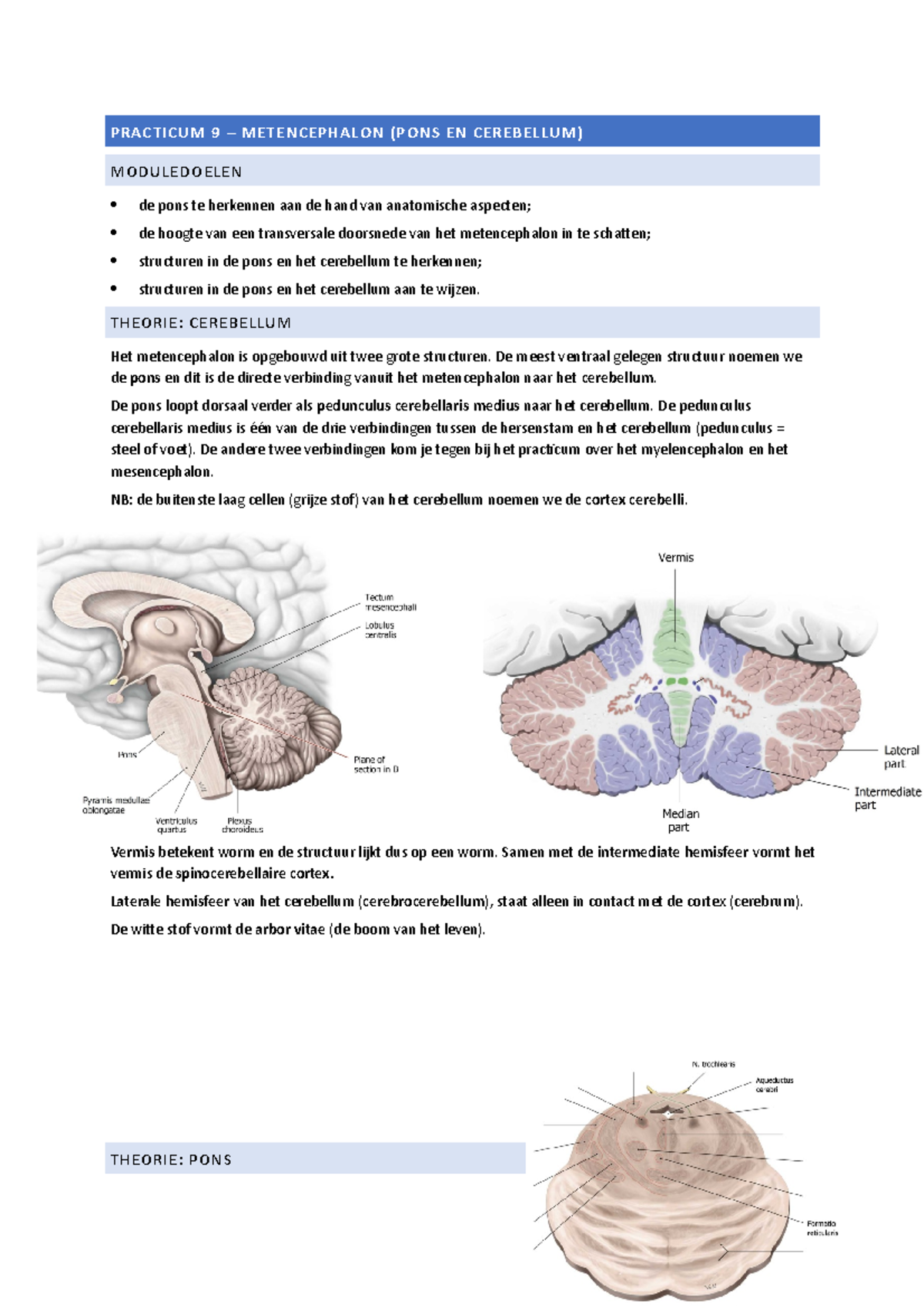 Neuroanatomie practicum 9 - PRACTICUM 9 – METENCEPHALON (PONS EN ...