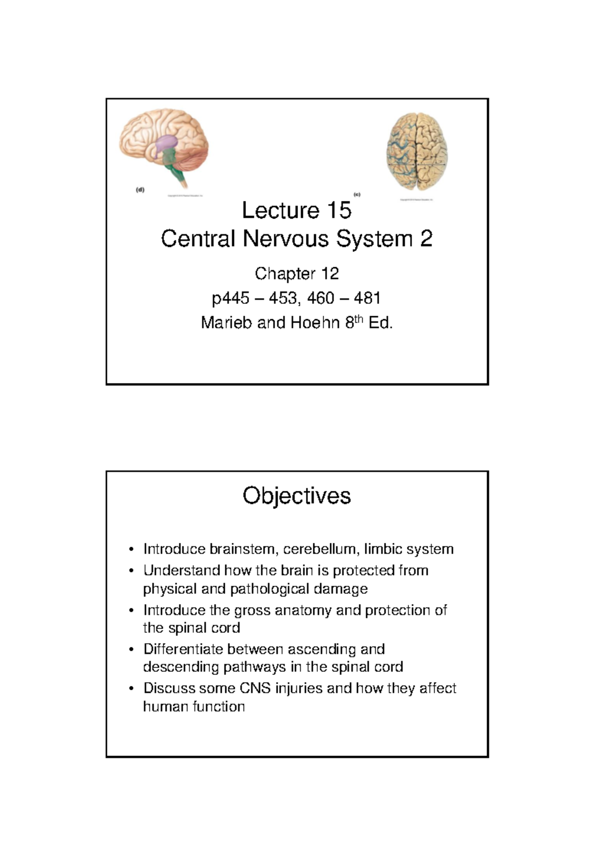 Lecture 15 Central Nervous System 2 2015 For Students - Lecture 15 ...