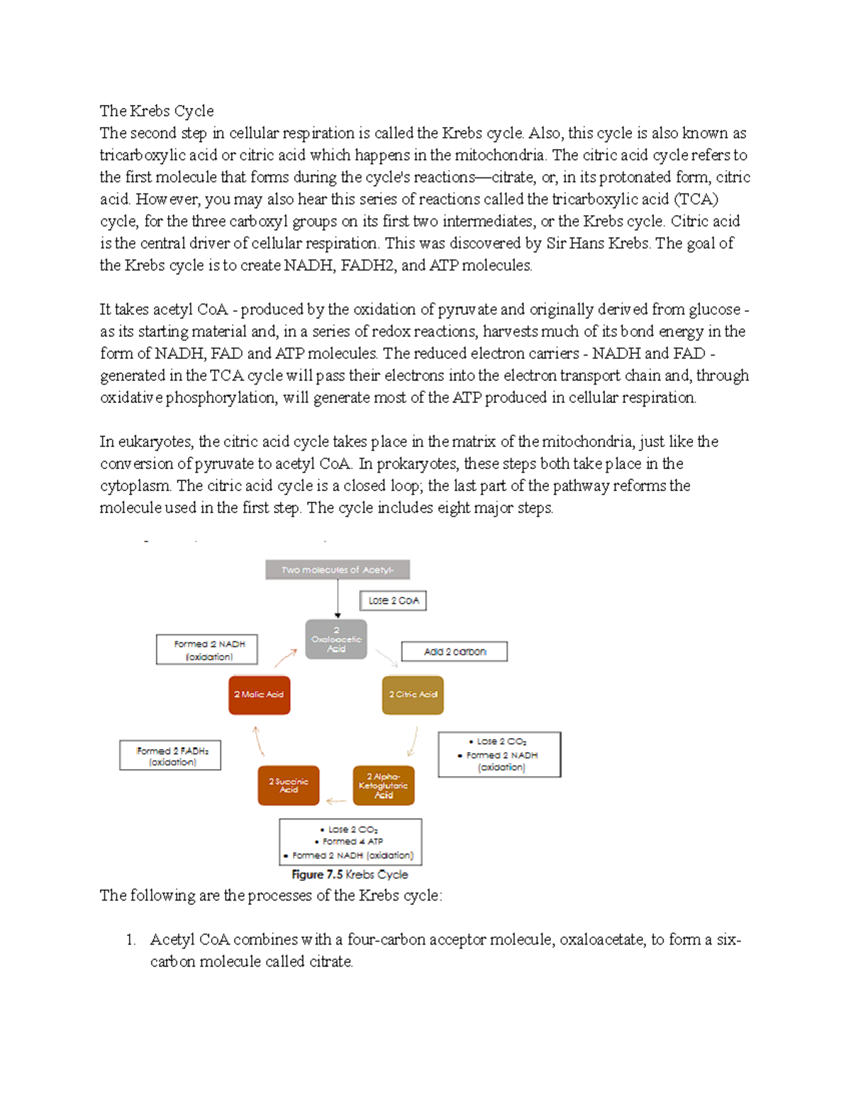 Krebs cycle reporting content - The Krebs Cycle The second step in ...