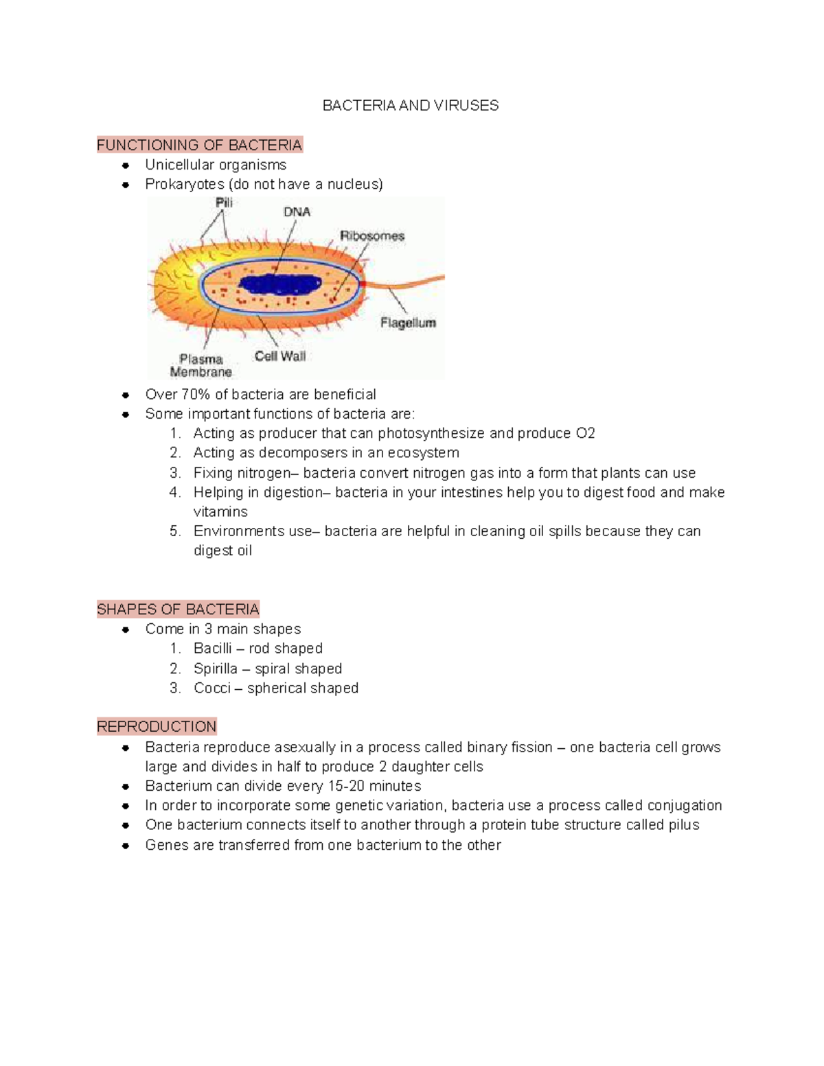 Bacteria AND Viruses - BACTERIA AND VIRUSES FUNCTIONING OF BACTERIA ...