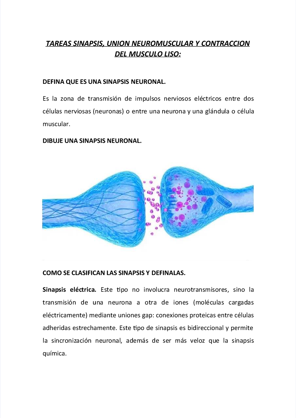 Sinapsis-y-union-neuromuscular compress - TAREAS SINAPSIS, UNION NEUROMUSCULAR Y ...