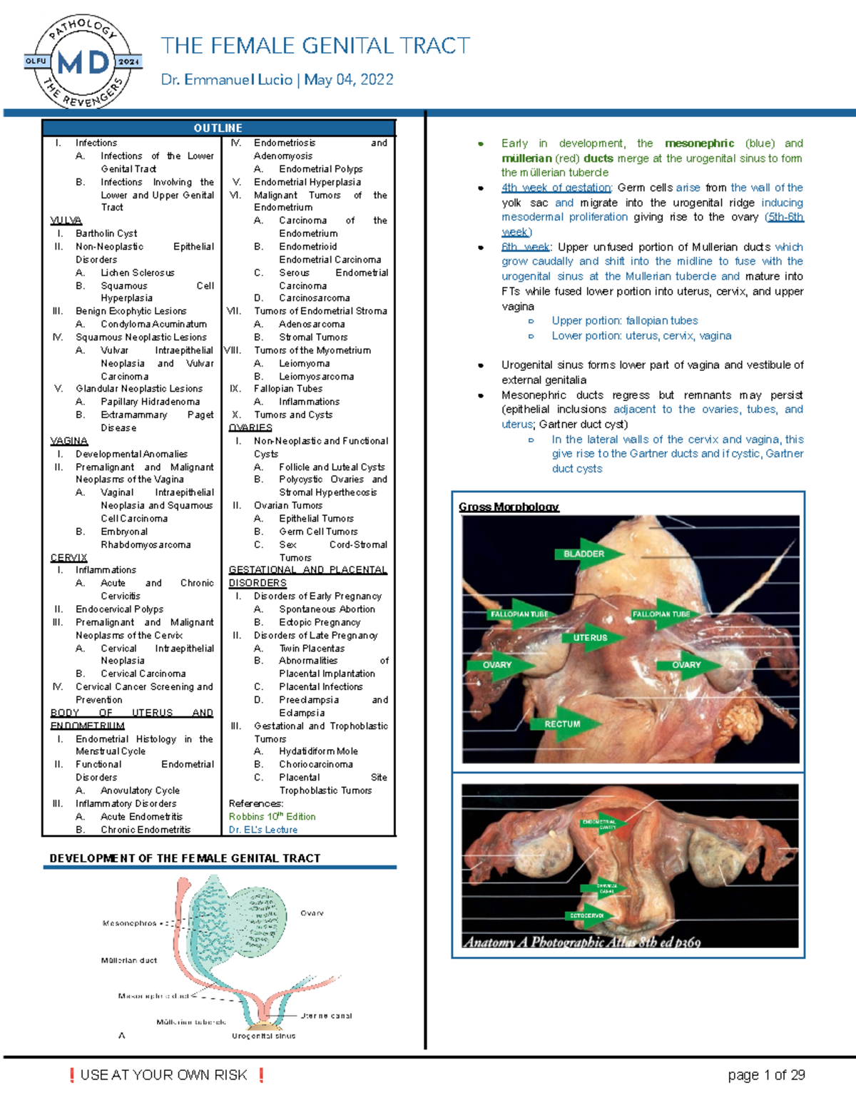 Patho 24 - Dr. Emmanuel Lucio | May 04, 2022 OUTLINE I. Infections A ...