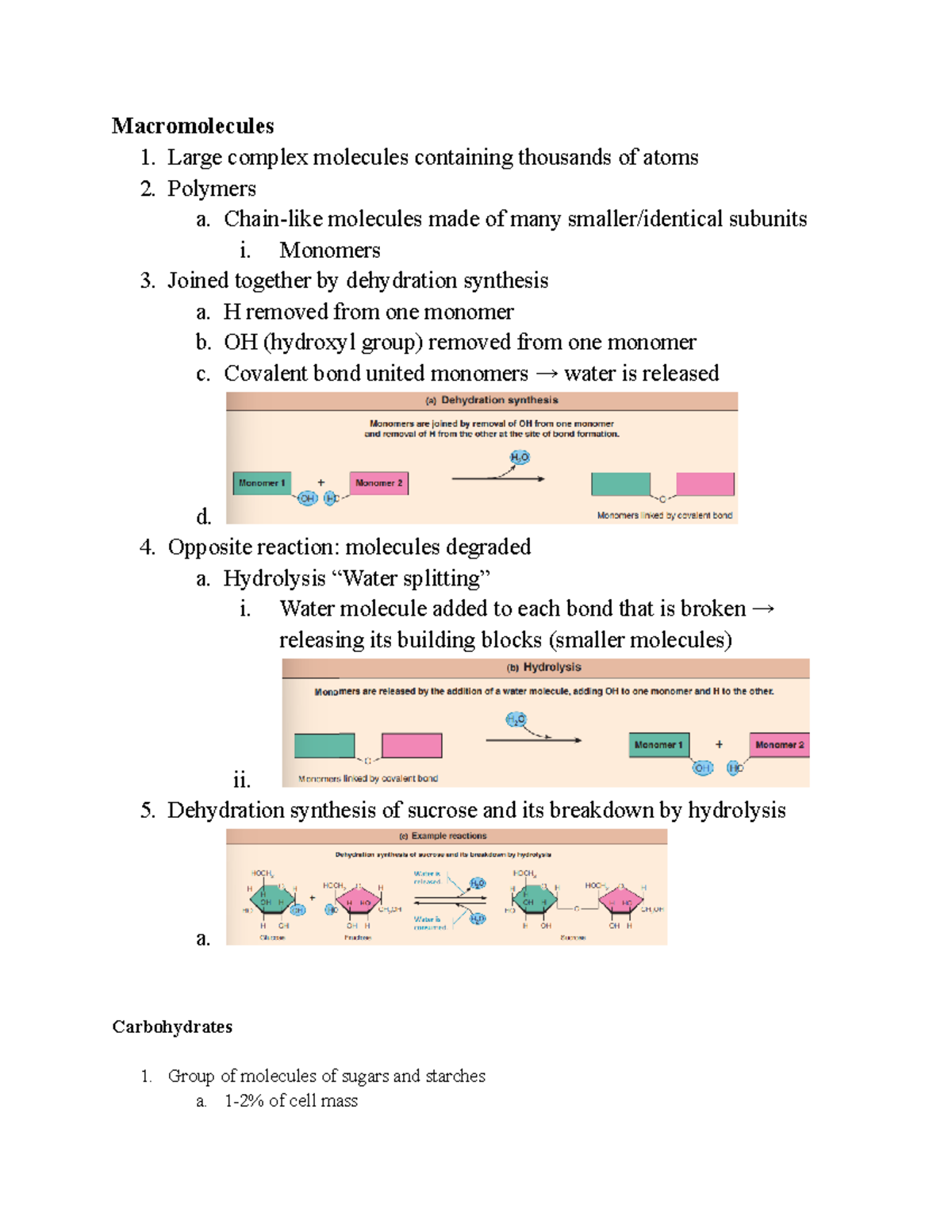 Chapter 2 Macromolecules Notes - Macromolecules 1. Large complex ...