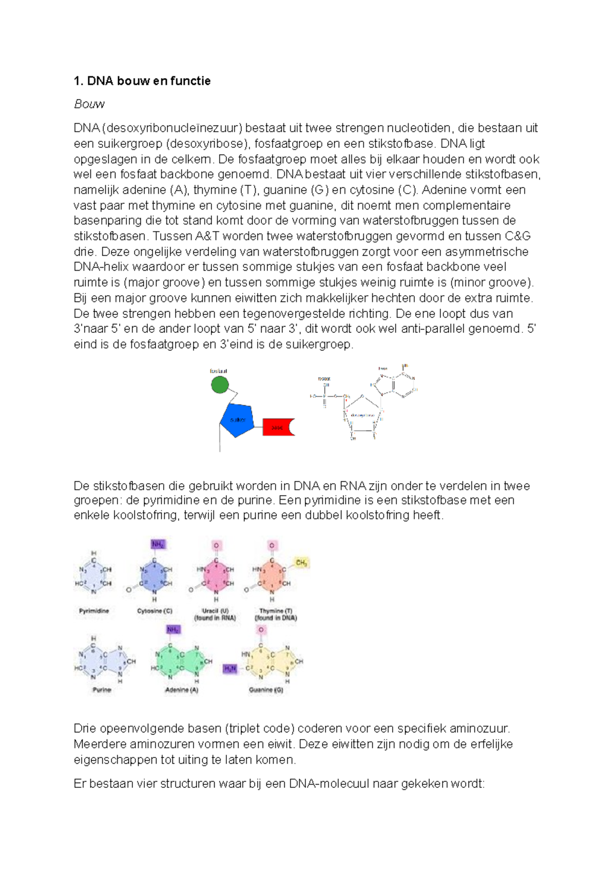 Casus 1 - 1. DNA bouw en functie Bouw DNA (desoxyribonucleïnezuur ...