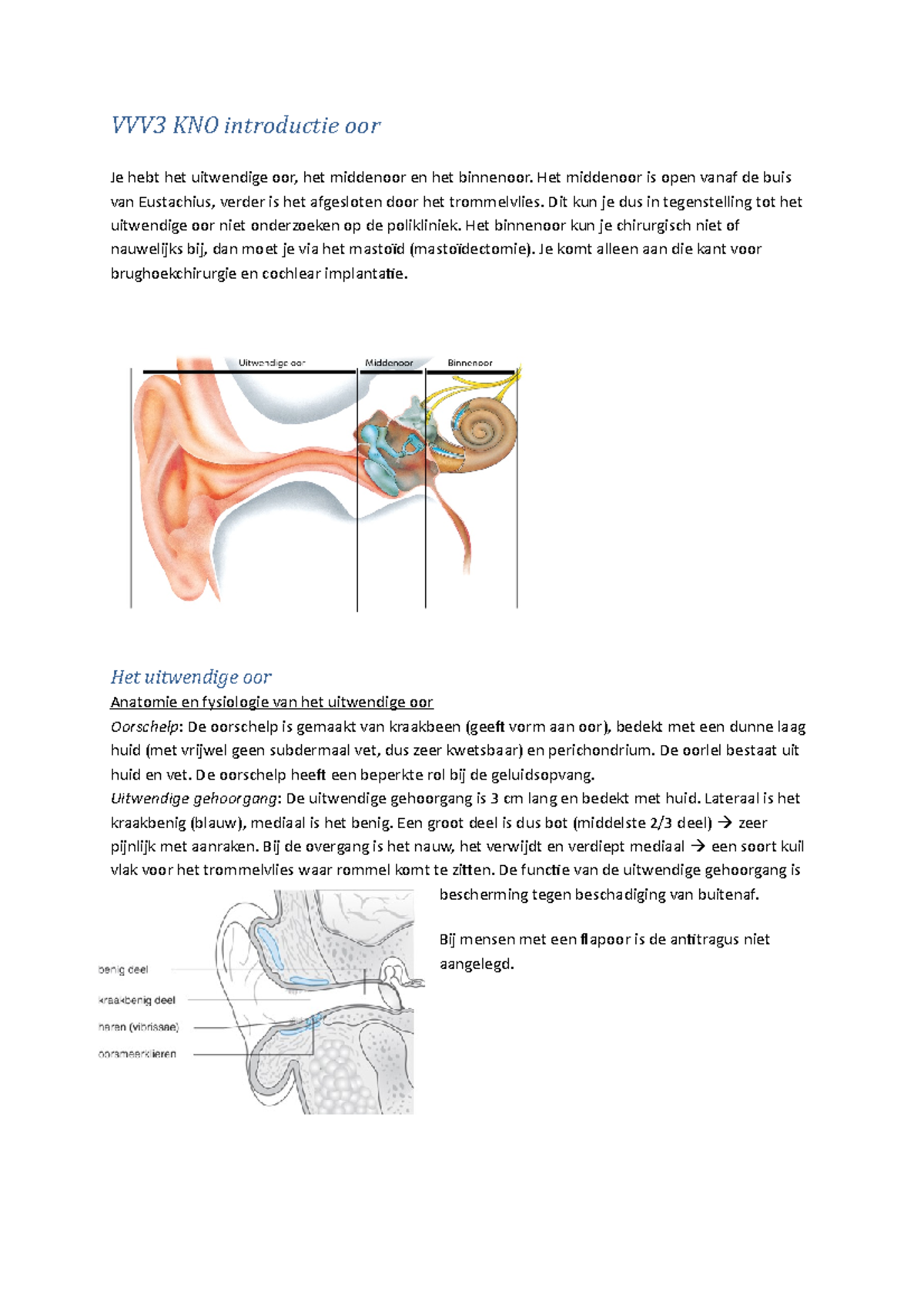 VVV3 KNO samenvatting totaal - VVV3 KNO introductie oor Je hebt het ...