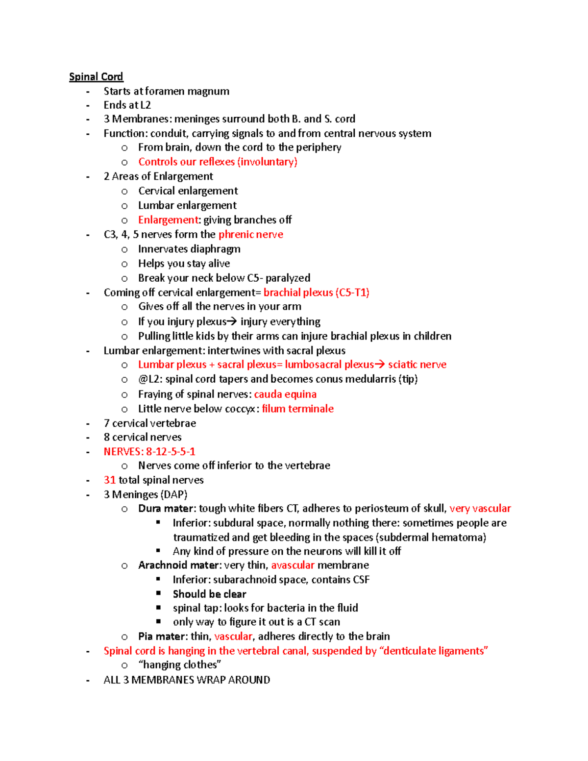 Spinal cord Notes - Spinal Cord - Starts at foramen magnum - Ends at L ...